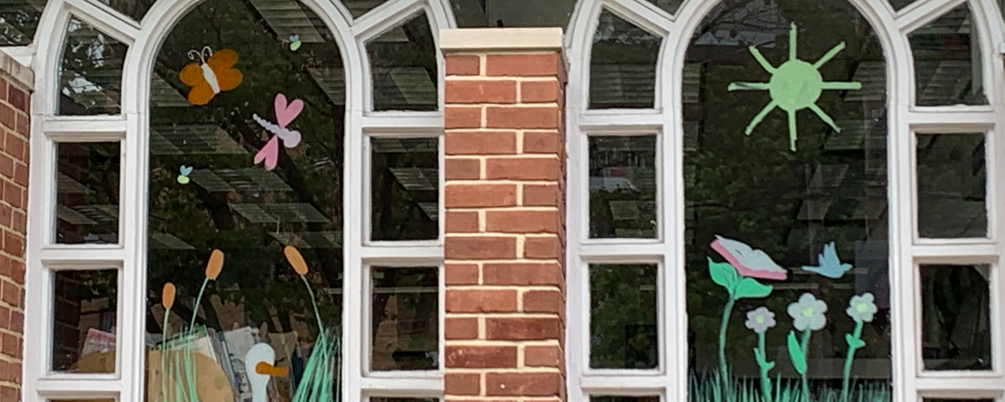 Children's Collections | Hempstead Public Library